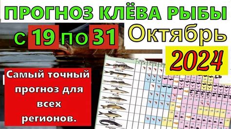 Прогноз клева рыбы на Эту неделю с 19 по 31 Октября Лунный Календарь