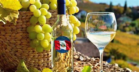 Pisco ¿cuál Es La Diferencia Entre El Acholado Pisco Puro Y Mosto