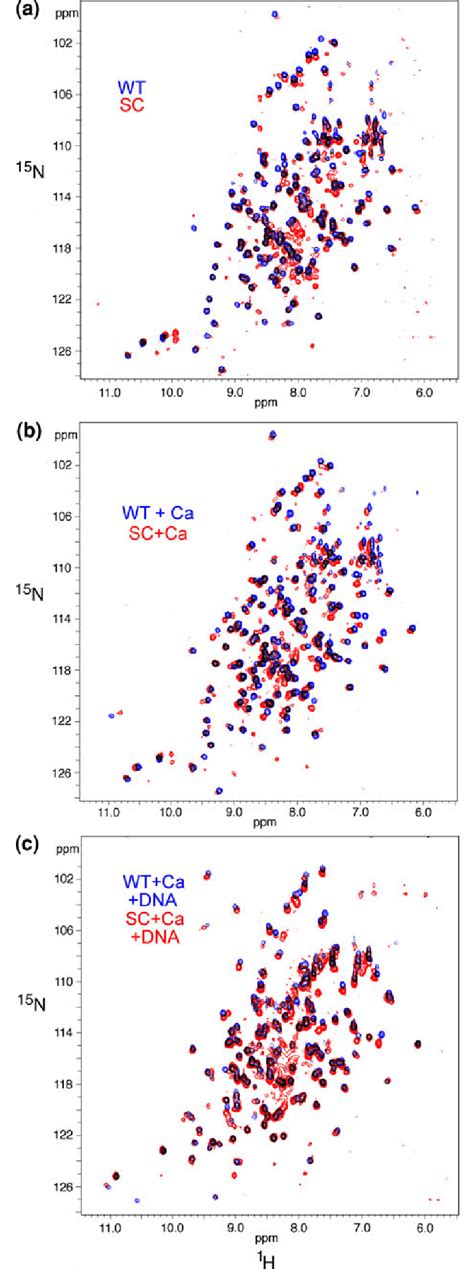 1 H 15 N Heteronuclear Single Quantum Coherence Spectra Of Wild Type