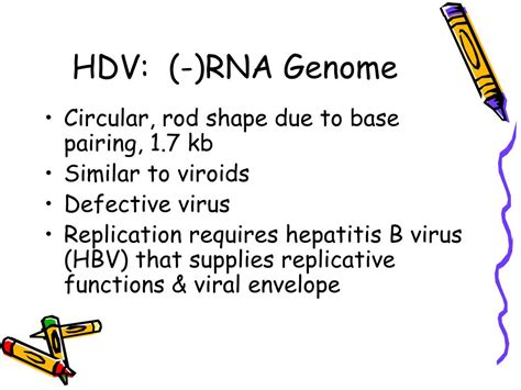 Ppt Replication Of Double Stranded Rna Virus Subviral Pathogens Powerpoint Presentation Id