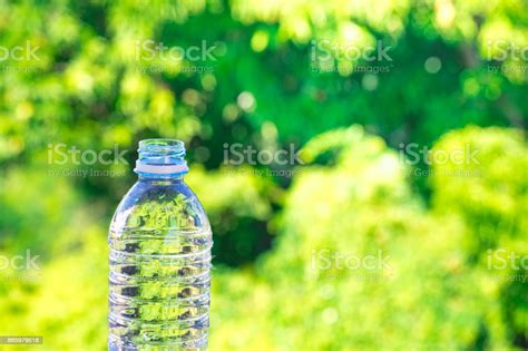 하늘과 나무 흐린 배경에 플라스틱 만든 병 물 벽지를 사용 하 여 패키지 또는 이미지 및 복사 공간을 새로 고침 제품 0명에 대한 스톡 사진 및 기타 이미지 Istock