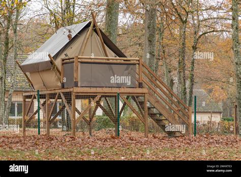 Raised Platform For Tent At Shelia Meyer Blog