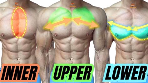 Top 5 Inner Lower And Upper Chest Workout At Gym Meilleurs Exs