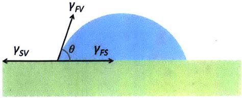 Figure 1 1 From Quantitative Analysis Of Anisotropic Edge Retraction By Solid State Dewetting Of