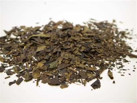 辰岡の水出し赤ちゃん番茶｜辰岡製茶｜辰岡の水だし赤ちゃん番茶｜滋賀県甲賀市
