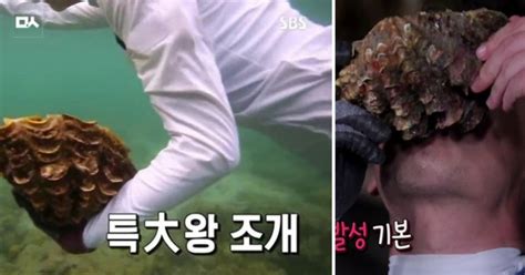 정글의 법칙 멸종위기종 ‘대왕조개 채취 논란태국 당국 고발조치까지 민중의소리