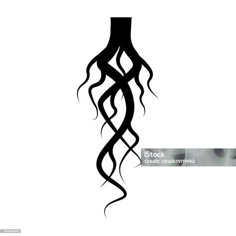 Tree Root Icon Tree Root Silhouette向量圖形及更多側影圖片 側影 可編輯筆觸 圖示 Istock