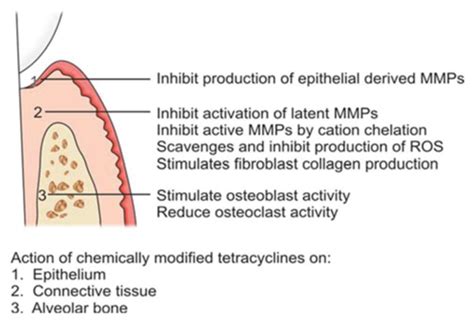 Online Open Access Dental Magazine Journal Publication Dentistry Journal