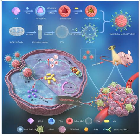 Biomaterials