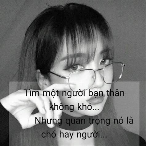 Những Câu Chửi độc Nhất Vô Nhị Mà Có Thể Bạn Chưa Biết