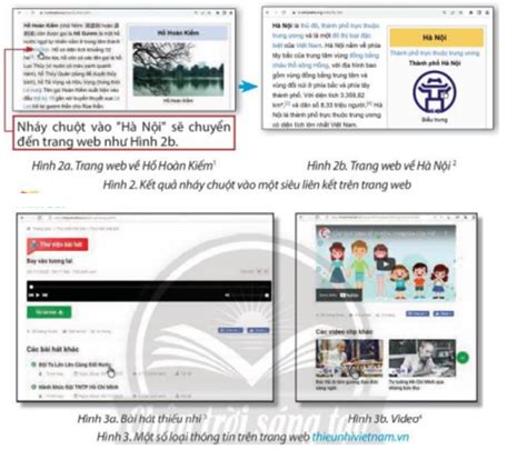 Em hãy nêu tên các loại thông tin chính trên trang web và đặc điểm mỗi loại thông tin đó
