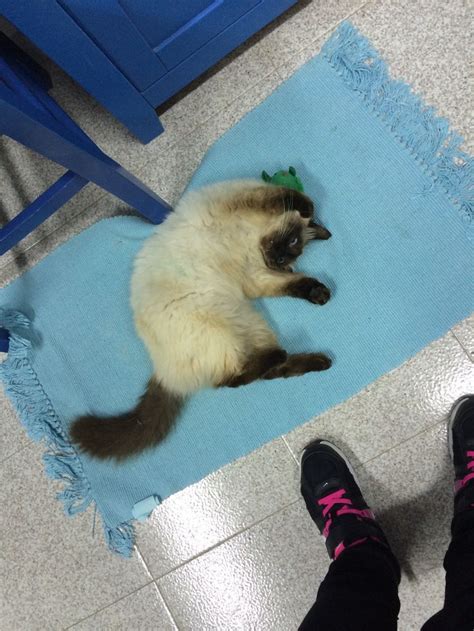 Aaaah Touch My Belly😄