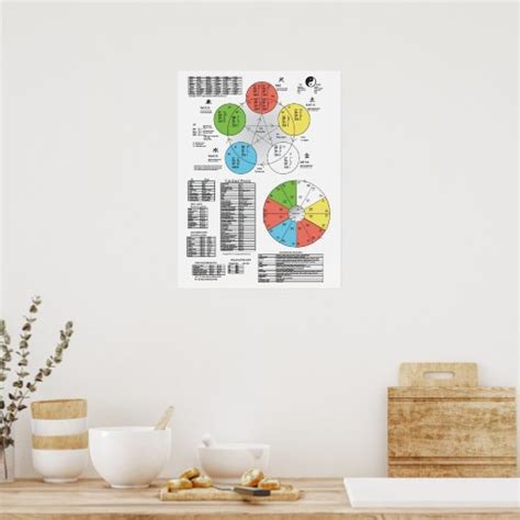 Color Five Element Acupuncture Poster Zazzle