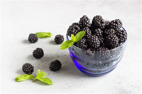 밝은 슬레이트 돌 또는 콘크리트 배경에 푸른 그릇에 신선한 블랙 베리와 민트 텍스트의 공간을 복사합니다 개체 그룹에 대한 스톡 사진 및 기타 이미지 Istock