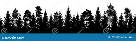 Seamless Forest Vector Landscape With Coniferous Trees In Black Stock