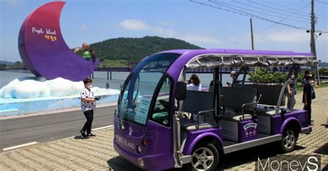 신안군 19일 퍼플섬 힐링 걷기대회 개최동호인 1500명 참여