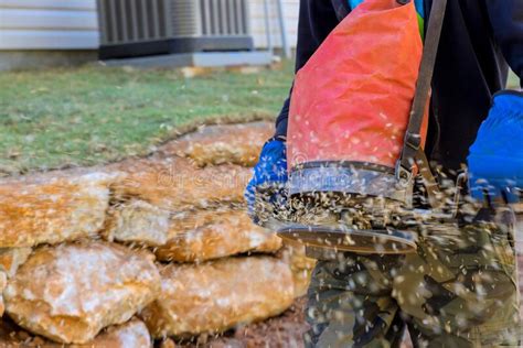 As Part Of A Landscaping Project Landscapers Use A Seeding Device To
