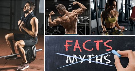 4 мита и факти за страничните ефекти на креатина Gymbeam Blog