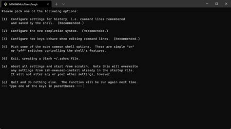 一文搞定 Windows Terminal 设置与 Zsh 安装【非wsl】 Laugh12321 博客园