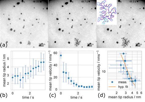 Dendrite Dynamics The Tip Radius Of Five Dendrite Branches Is Download Scientific Diagram