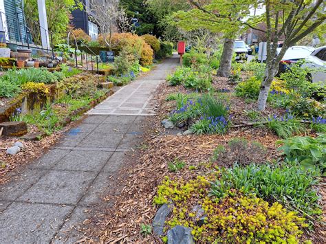 Pacific Northwest Garden Projects Pollinator Pathway Nw