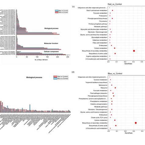 Enrichment Analysis Of Gene Ontology Go Terms And Kegg Pathways A