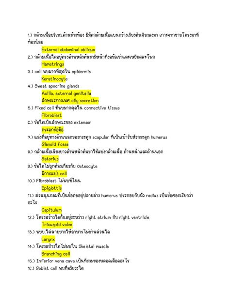 Anotomy Midterm Pdf