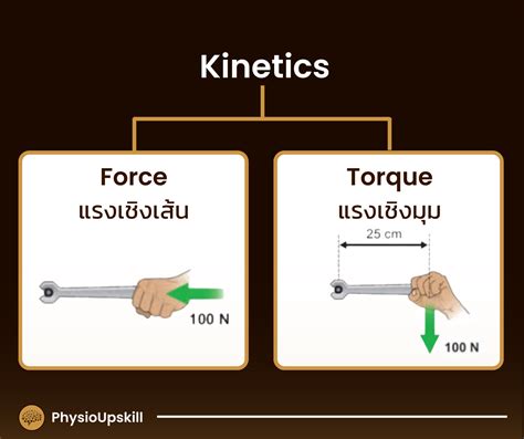 Episode2 Kinetics vs Kinematics 2 คำทคลายกน มนตางกนยงไง PhysioUpskill