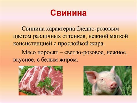 Мясо животных мясо птицы в питании человека Виды тепловой обработки мяса Online Presentation