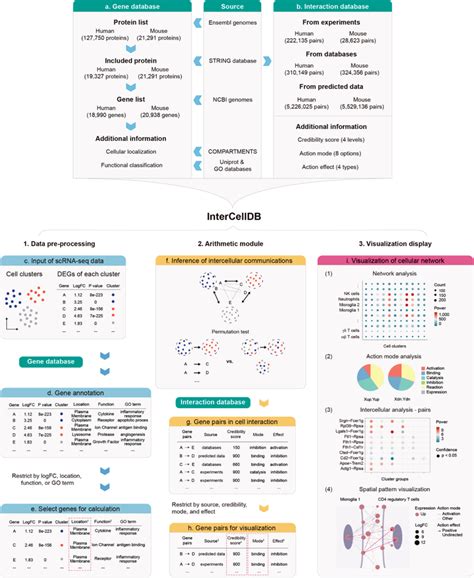 overview of intercelldb database and workflow a b intercelldb