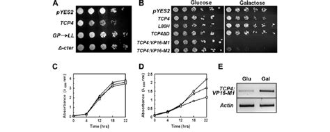 Tcp4 Activity Inhibits Yeast Growth A Growth Assay Of Download