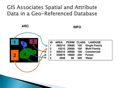 Data Queries Raster Vector Data Models Ppt Download