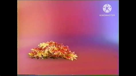 Nick Jr Piper Opossum Bumper The Backyardigans 2004 Youtube