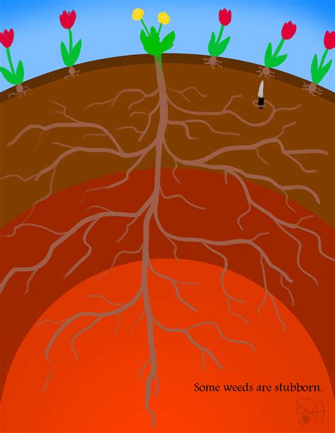 Dilettante Comics Deep Rooted