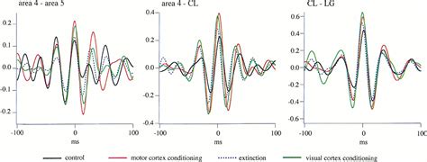 Instrumental Conditioning Of Fast 20 To 50 Hz Oscillations In