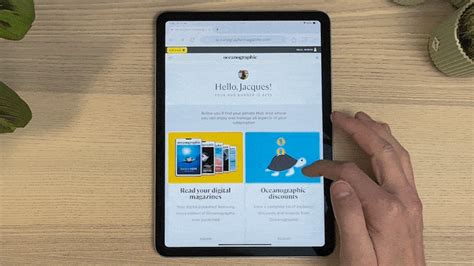 Shark Sex Lives Secrets Reveal Love Hurts But Wounds Heal Oceanographic