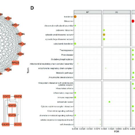 Key Subnetworks From Ppi Networks And Their Enrichment Analysis A Download Scientific