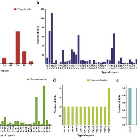 The Distribution Of Polymorphic Nucleotide Simple Sequence Repeats Download Scientific Diagram