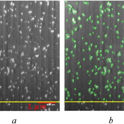 Particle Size Distribution In Tio2epoxy Nanocomposite A Density
