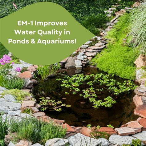 Em 1® Microbial Inoculant Concentrate Perfect Gardens