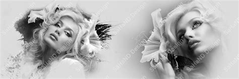 طراحی و رتوش عکس لابراتوار سهند