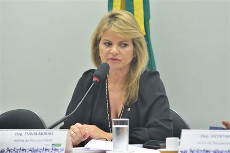 Flávia Morais Preside Audiência Pública Sobre A Regulamentação Da