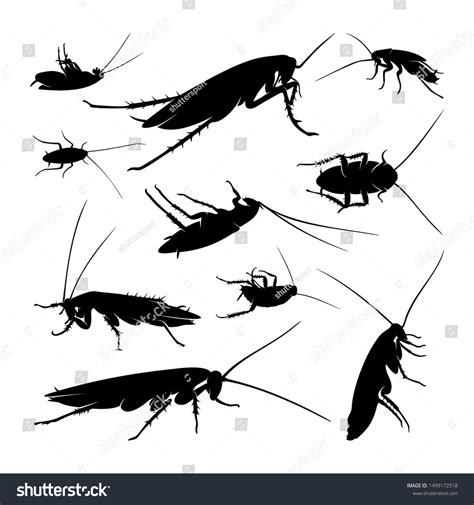 Cockroach Logo Design Vector Illustration Cockroach Stock Vector
