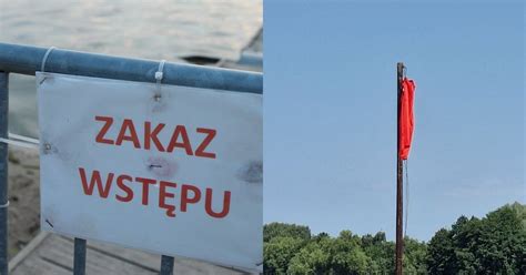 Sinice Kontratakują Nad Jeziorem Ukiel Kąpiele Tylko Słoneczne