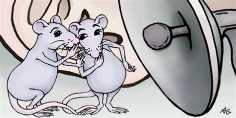 Did You Hear A Mouse Peep Probably Not But A Region Based