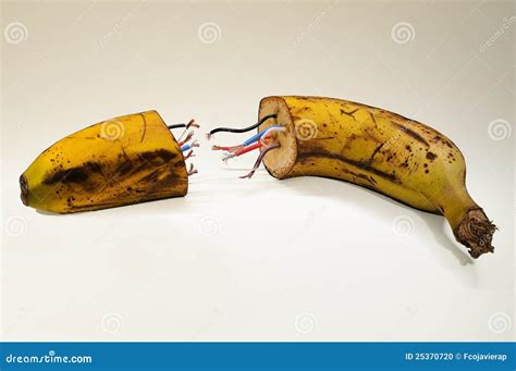 Banana Stock Photo Image Of Genetic Test Scientific
