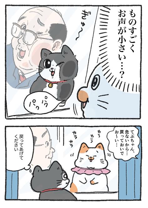 天堂ソラ On Twitter Rt Yajimaen ねこに転生したおじさん。その64