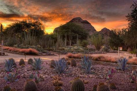 Phoenix Arizona Phoenix Attractions And Events VisitPhoenix