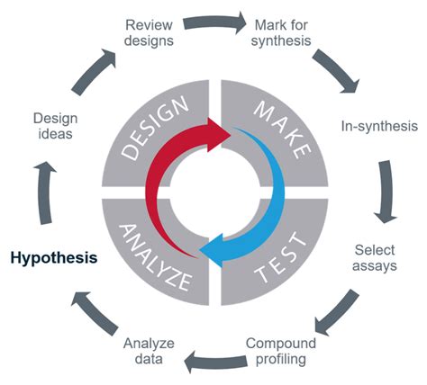 Hypothesis Management In The Dmta Cycle Massbio