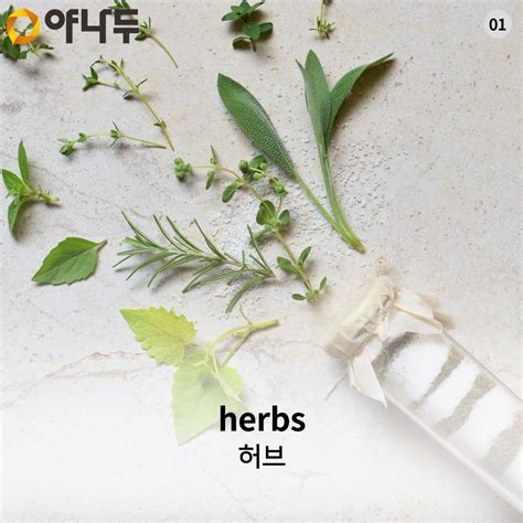 향신료 4가지 단어 영어예문 네이버 포스트